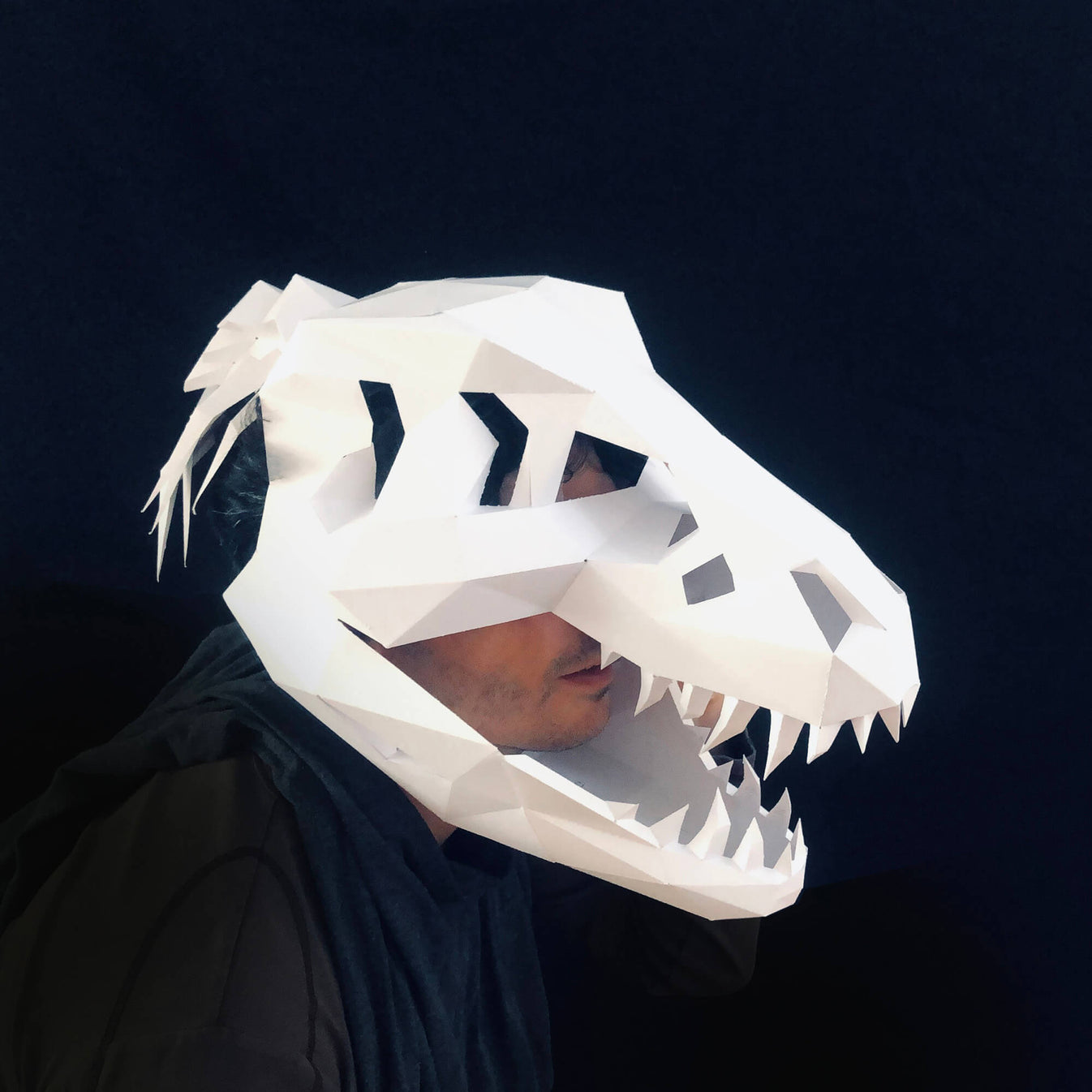 T REX FOSSIL MASK - DIY downloadable template, low poly design. – Lucas ...